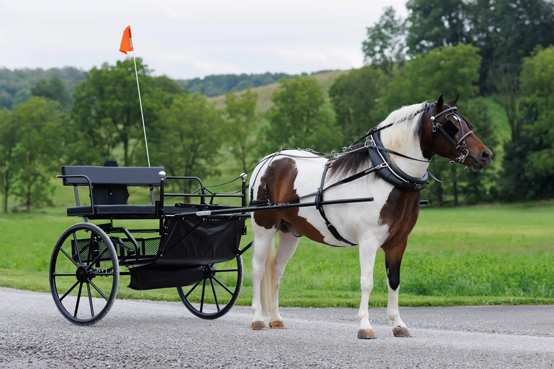Best Sellers – Alberta Carriage Supply