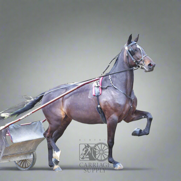Quick Hitch Harness Complete Horse Size | Alberta Carriage Supply