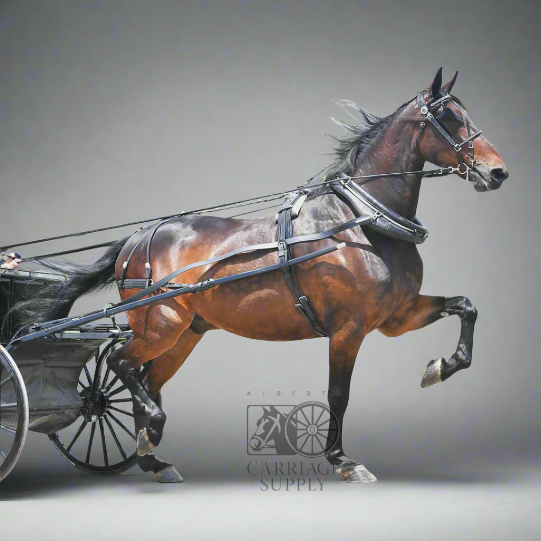 Pleasure Driving Harness with Hames Draft Cross Size – Alberta Carriage ...