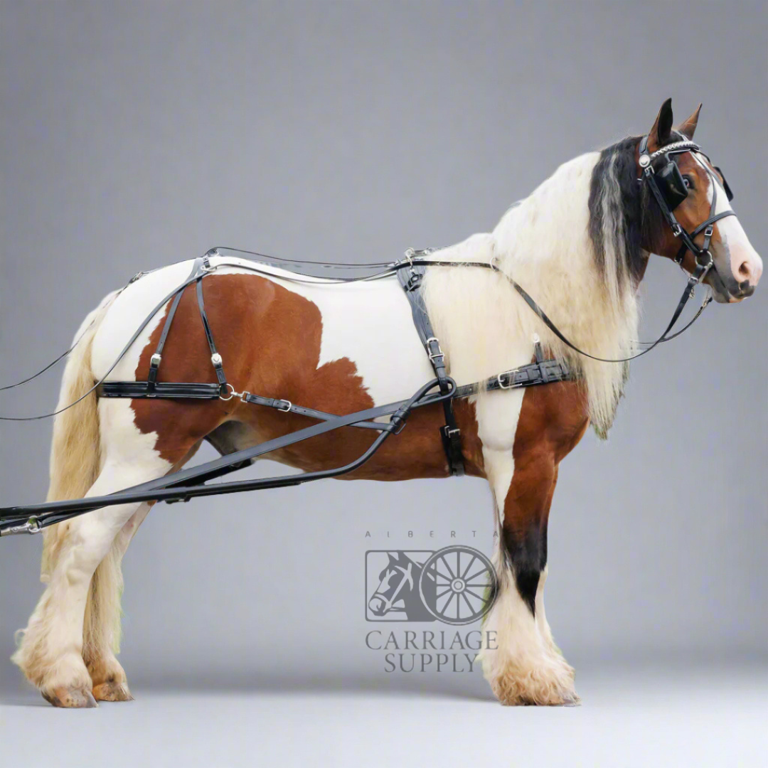 Padded Pleasure Harness Draft Cross Size – Alberta Carriage Supply
