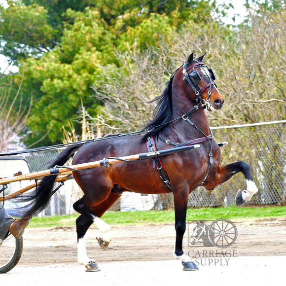 Fine Driving Harness Pony Size | Alberta Carriage Supply