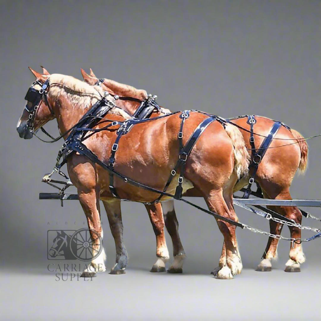 Complete Yankee Harness with Backers Draft Cross Size – Alberta ...