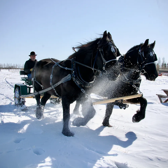 ACS Sleigh Runners | Alberta Carriage Supply