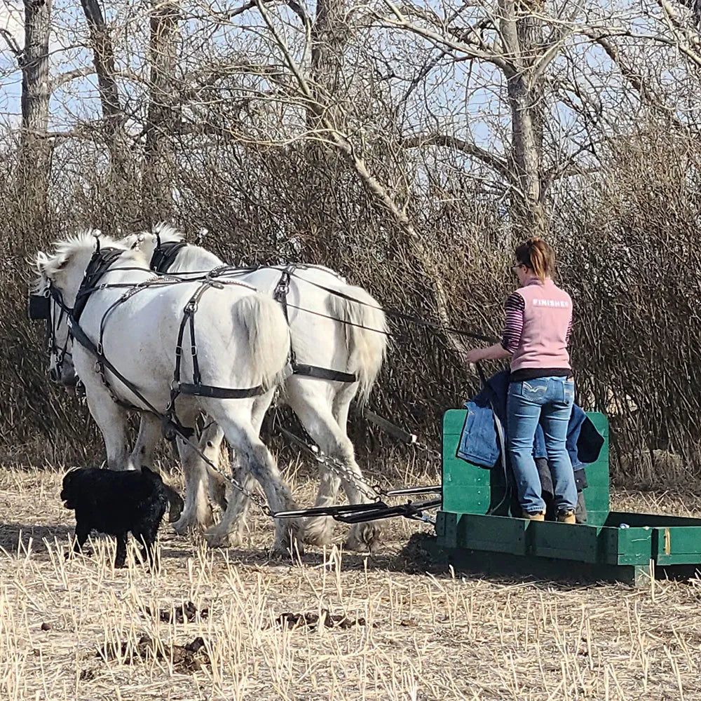 ACS Work Sled | Alberta Carriage Supply